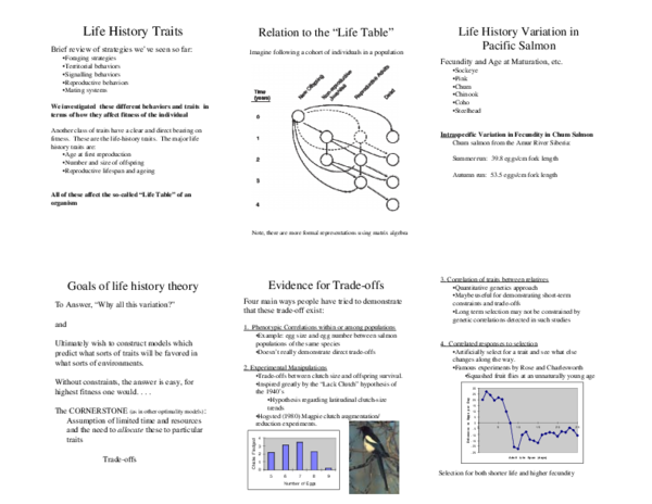 (PDF) Life History Traits
