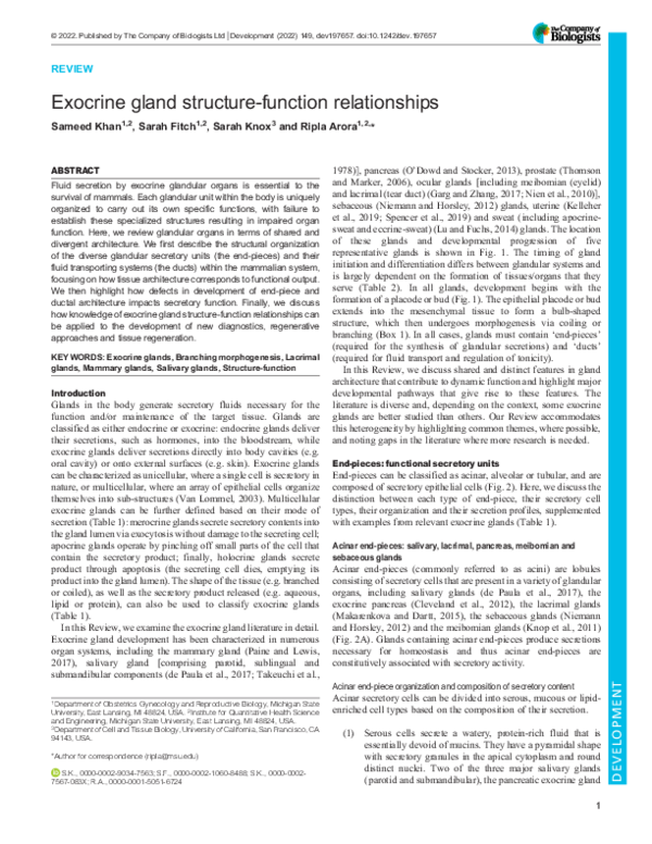 (PDF) Exocrine gland structure-function relationships