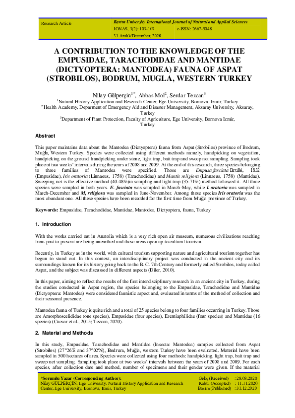 (PDF) A Contribution to the Knowledge of the Empusidae, Tarachodidae ...