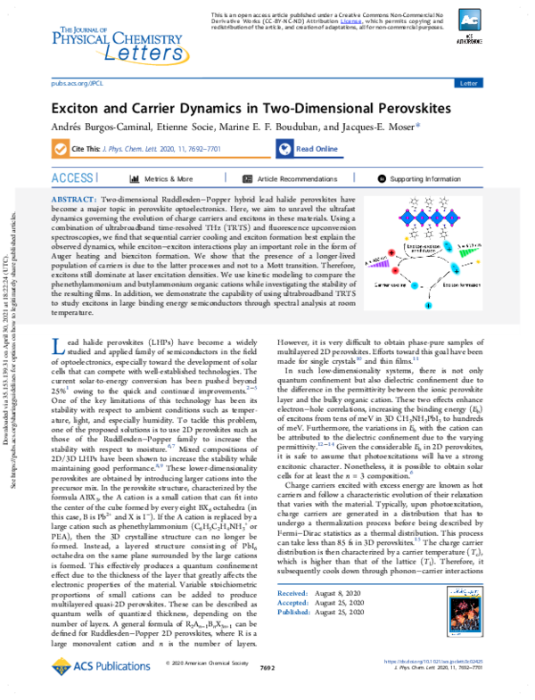 (PDF) Exciton and Carrier Dynamics in Two-Dimensional Perovskites