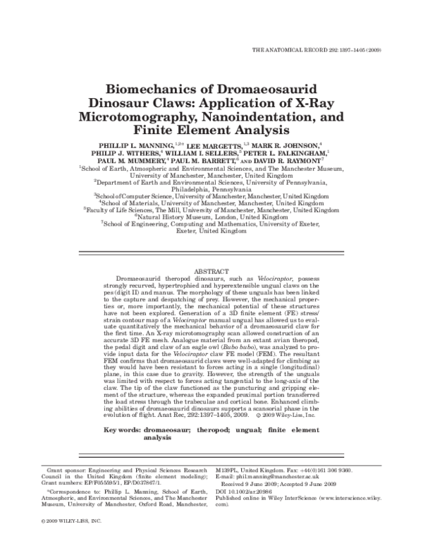 (PDF) Biomechanics of Dromaeosaurid Dinosaur Claws: Application of X‐Ray Microtomography ...