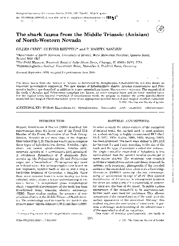 (PDF) The shark fauna from the Middle Triassic (Anisian) of North ...