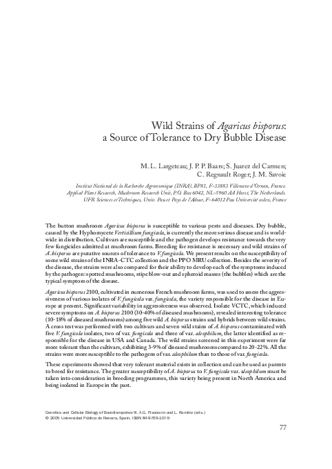 (PDF) Wild strains of Agaricus bisporus: a source of tolerance to dry bubble disease