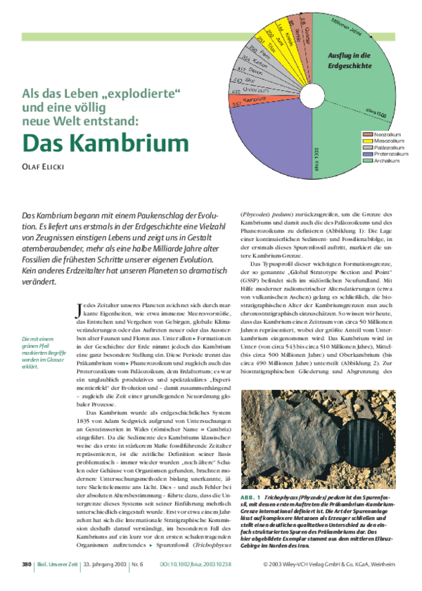 (PDF) Das Kambrium: Als das Leben„explodierte” und eine völlig neue ...