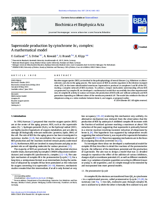 (PDF) Superoxide production by cytochrome bc1 complex: A mathematical model