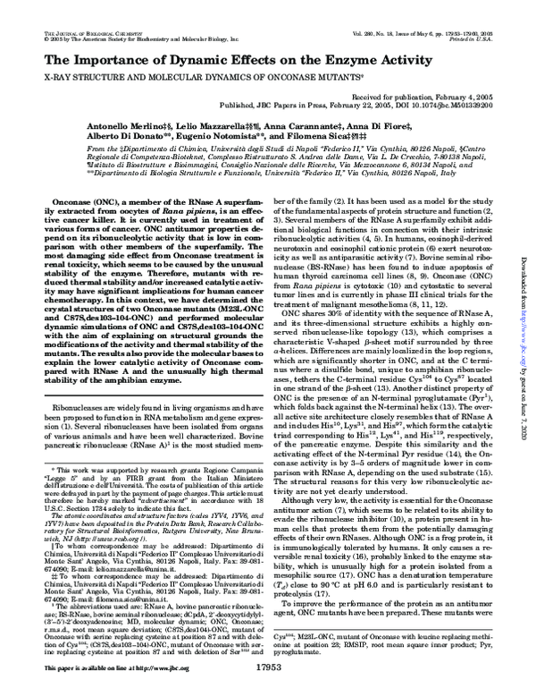 (PDF) The Importance of Dynamic Effects on the Enzyme Activity