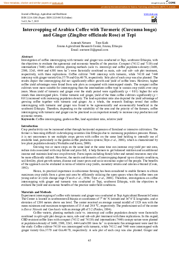 (PDF) Intercropping of Arabica coffee with turmeric (Curcuma longa) and ...