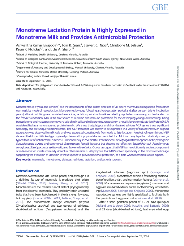 (PDF) Monotreme lactation protein is highly expressed in monotreme milk ...