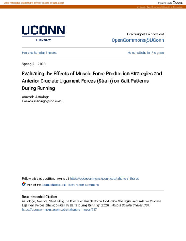 (PDF) Evaluating the Effects of Muscle Force Production Strategies and ...