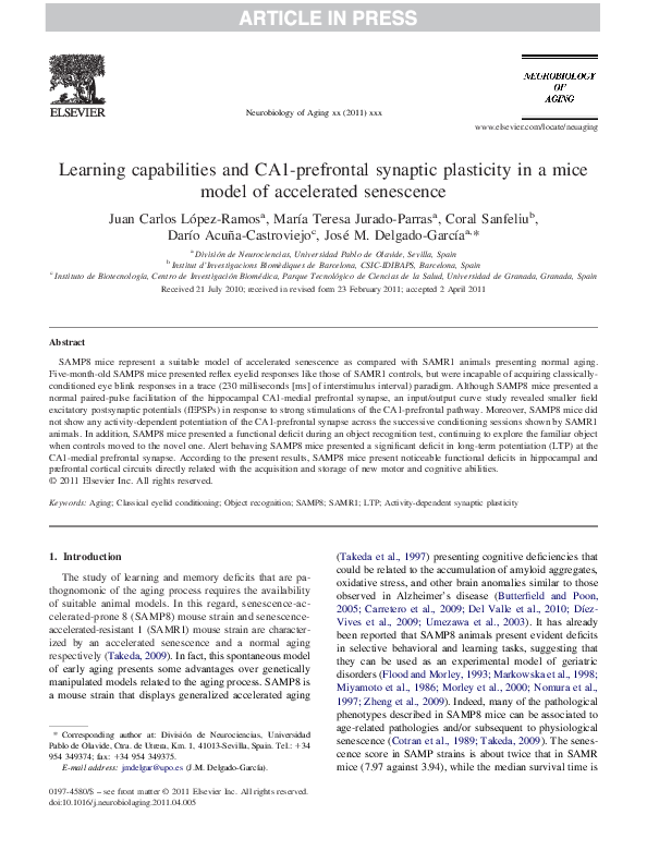 (PDF) Learning capabilities and CA1-prefrontal synaptic plasticity in a mice model of ...