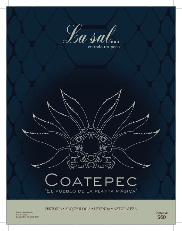 (PDF) Los antiguos asentamientos de Coatepec