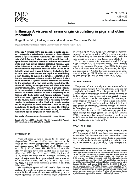 (PDF) Influenza A viruses of avian origin circulating in pigs and other ...