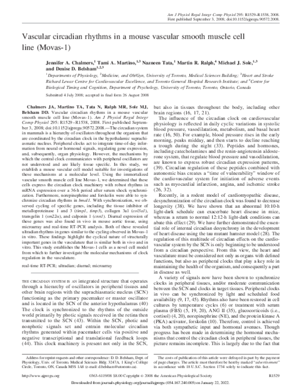 (PDF) Vascular circadian rhythms in a mouse vascular smooth muscle cell ...