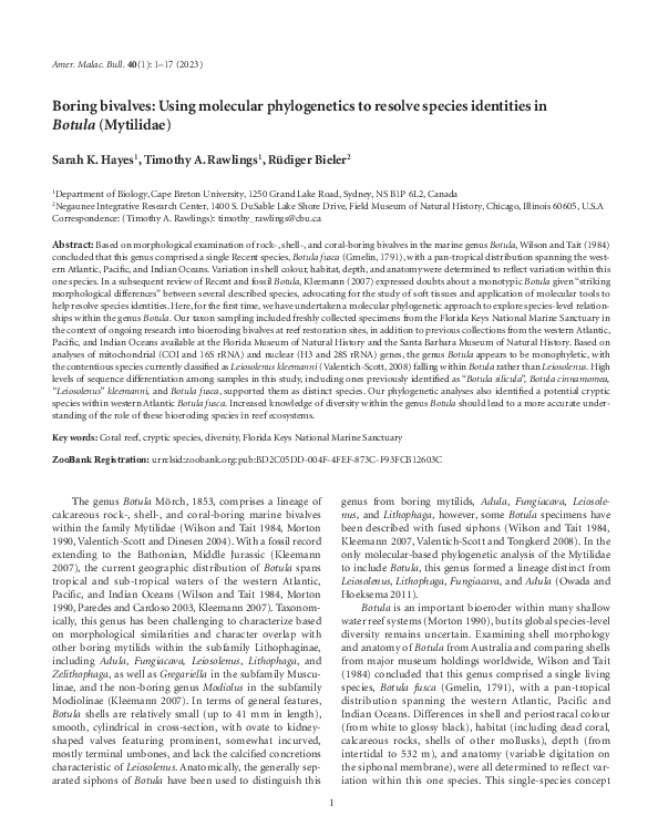 (PDF) Boring bivalves: Using molecular phylogenetics to resolve species ...