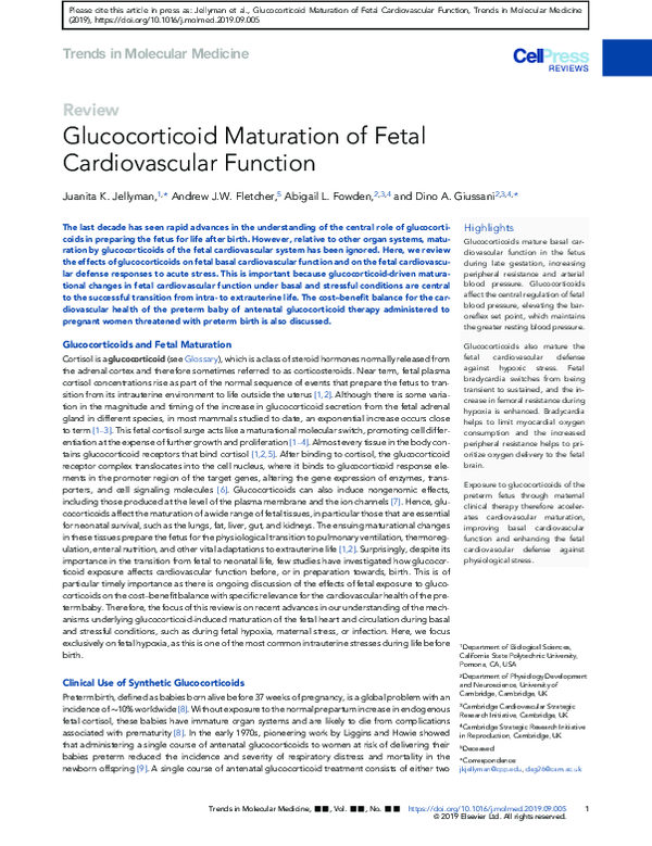 (PDF) Glucocorticoid Maturation of Fetal Cardiovascular Function ...