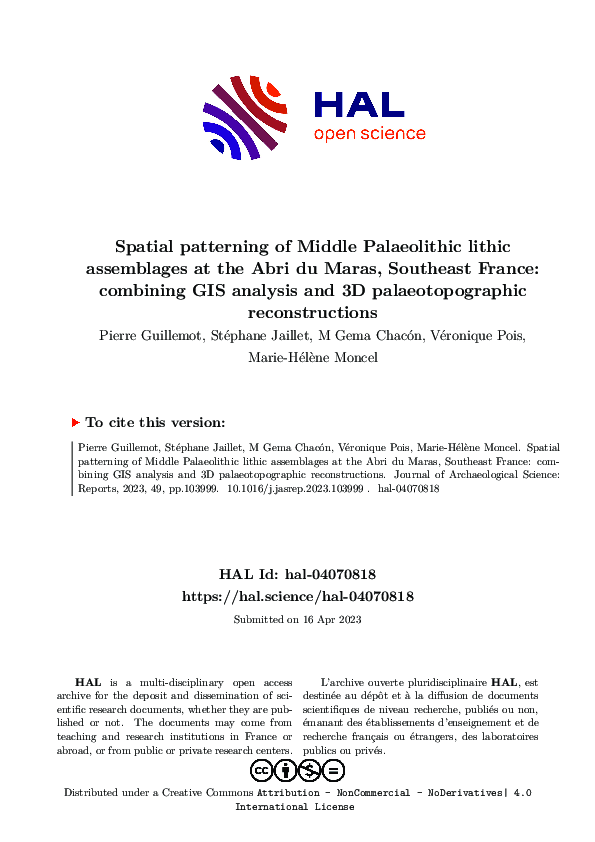 (PDF) Spatial patterning of Middle Palaeolithic lithic assemblages at the Abri du Maras ...