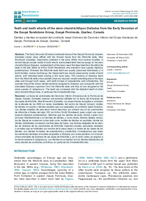 (PDF) Teeth and tooth whorls of the stem chondrichthyan Doliodus from ...