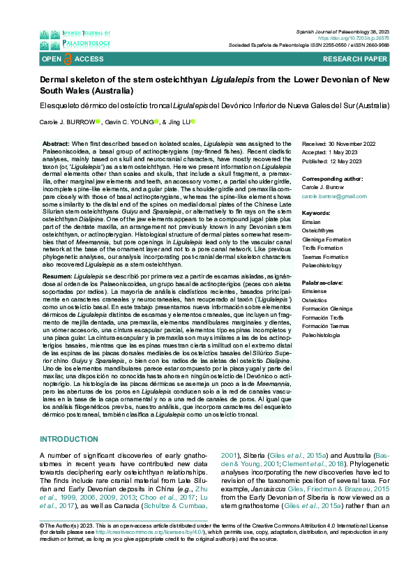 (PDF) Dermal skeleton of the stem osteichthyan Ligulalepis from the ...