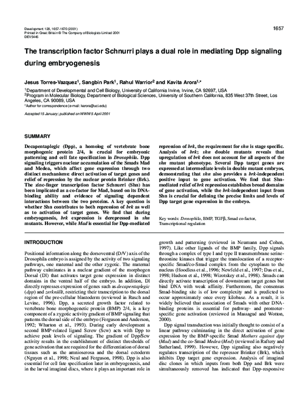 (PDF) The transcription factor Schnurri plays a dual role in mediating ...