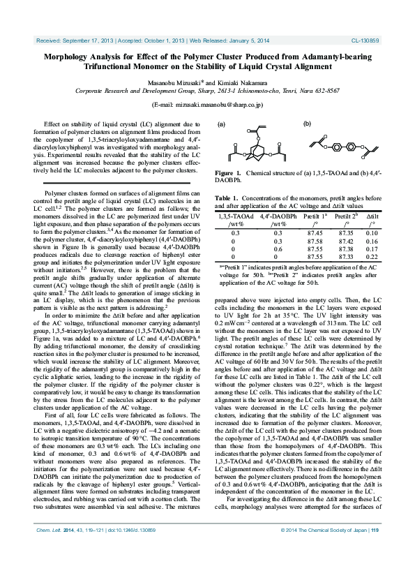 (PDF) Morphology Analysis for Effect of the Polymer Cluster Produced ...