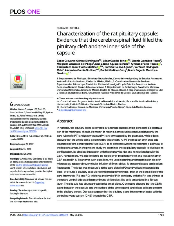 (PDF) Characterization of the rat pituitary capsule: Evidence that the ...