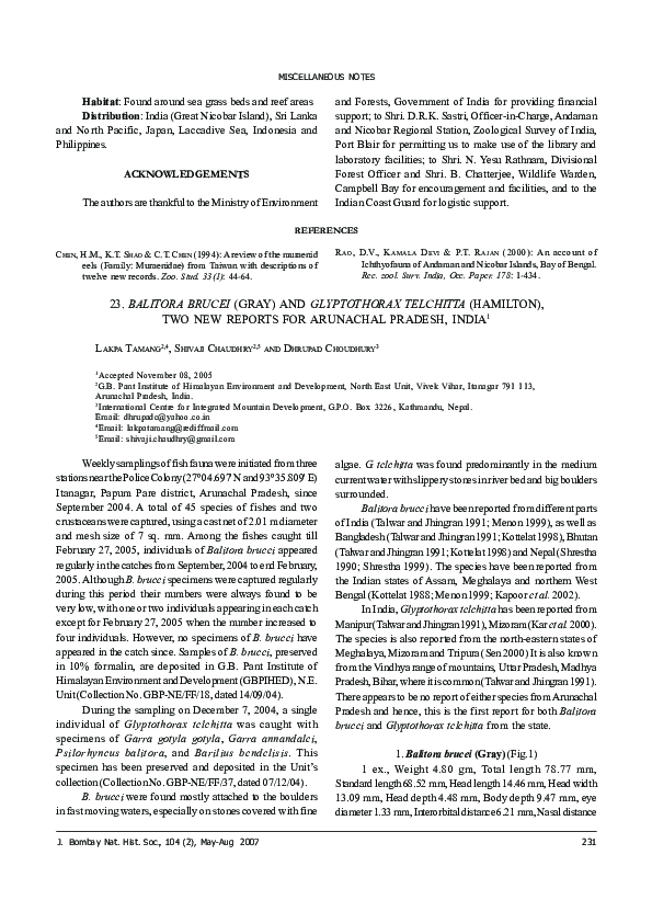 (PDF) Balitora Brucei (Gray) and Glyptothorax Telchitta (Hamilton), Two ...
