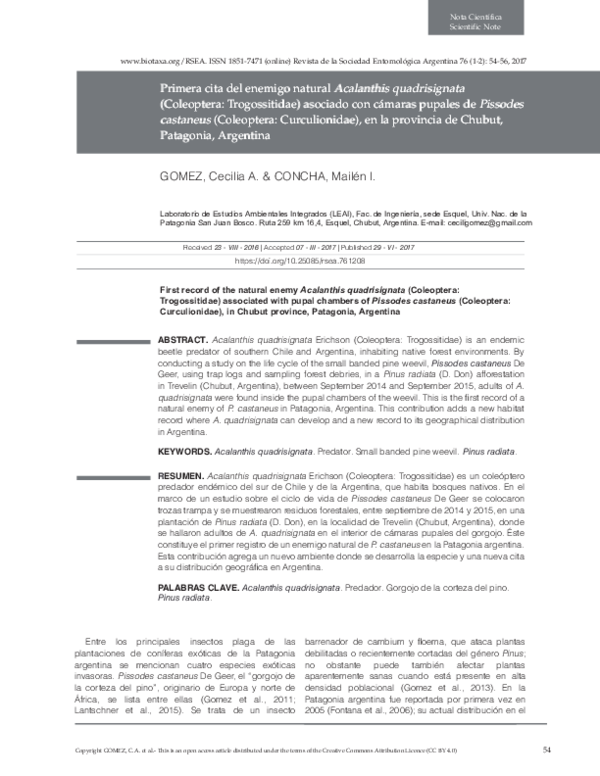 (PDF) First record of the natural enemy Acalanthis quadrisignata ...