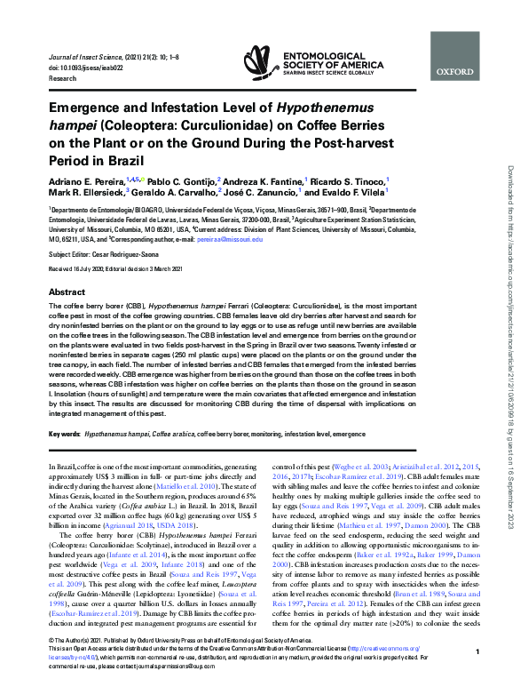 (PDF) Emergence and Infestation Level of Hypothenemus hampei ...