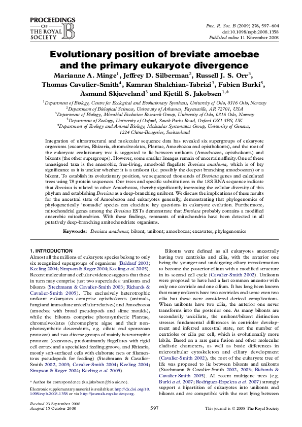 (PDF) Evolutionary position of breviate amoebae and the primary ...
