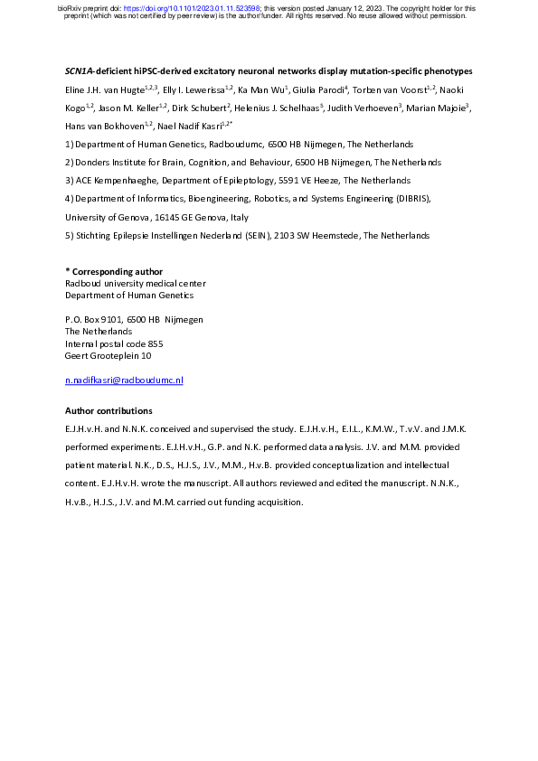 (PDF) SCN1A-deficient hiPSC-derived excitatory neuronal networks ...