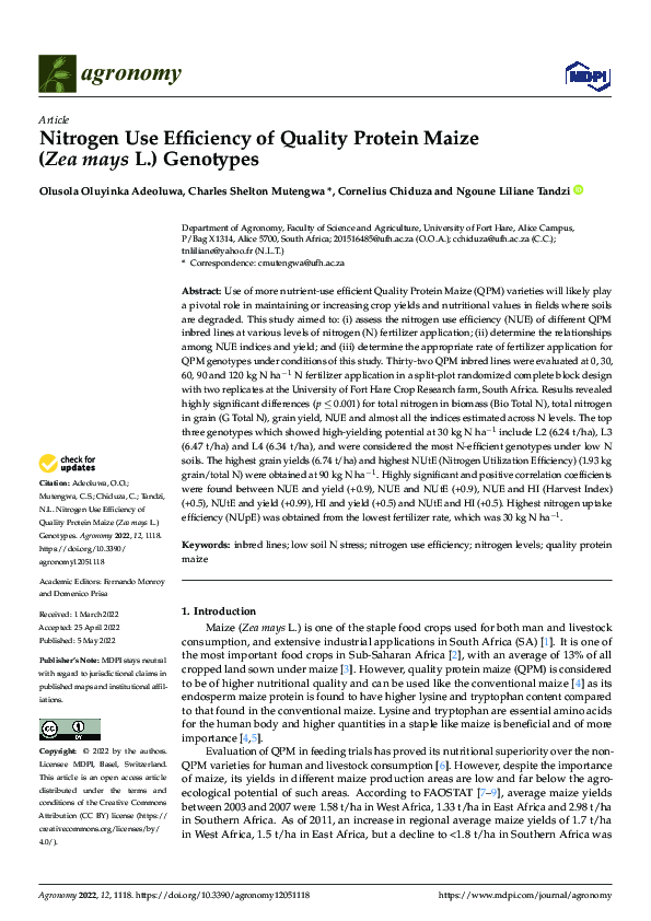 (PDF) Nitrogen Use Efficiency of Quality Protein Maize (Zea mays L.) Genotypes | Cornelius ...