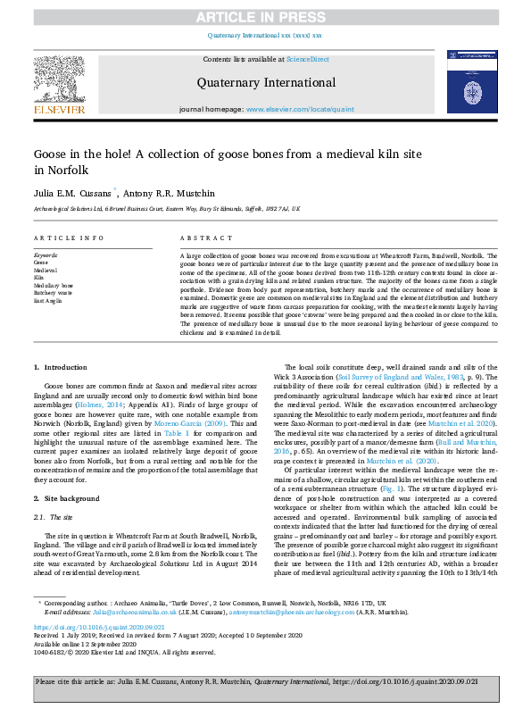 (PDF) Goose in the hole! A collection of goose bones from a medieval ...