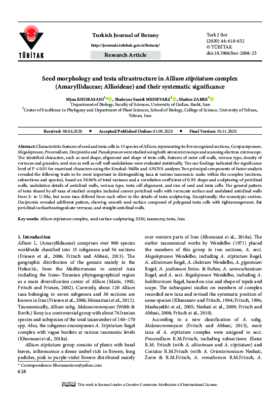 (PDF) Seed morphology and testa ultrastructure in Alliumstipitatum ...