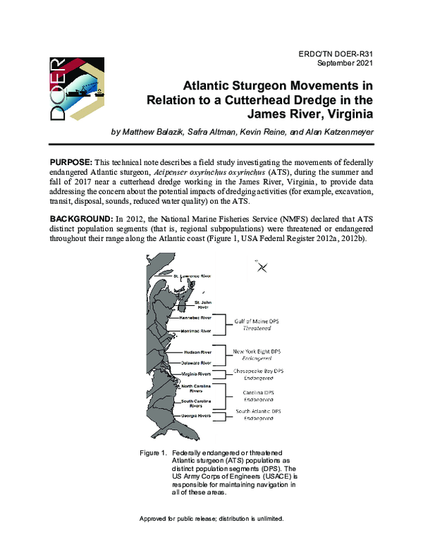 (PDF) Atlantic sturgeon movements in relation to a cutterhead dredge in ...