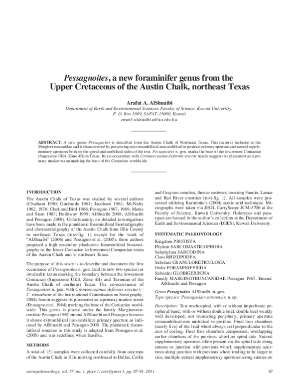 (PDF) Pessagnoites, a new foraminifer genus from the Upper Cretaceous ...