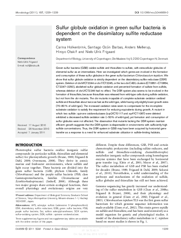 (PDF) Sulfur globule oxidation in green sulfur bacteria is dependent on ...