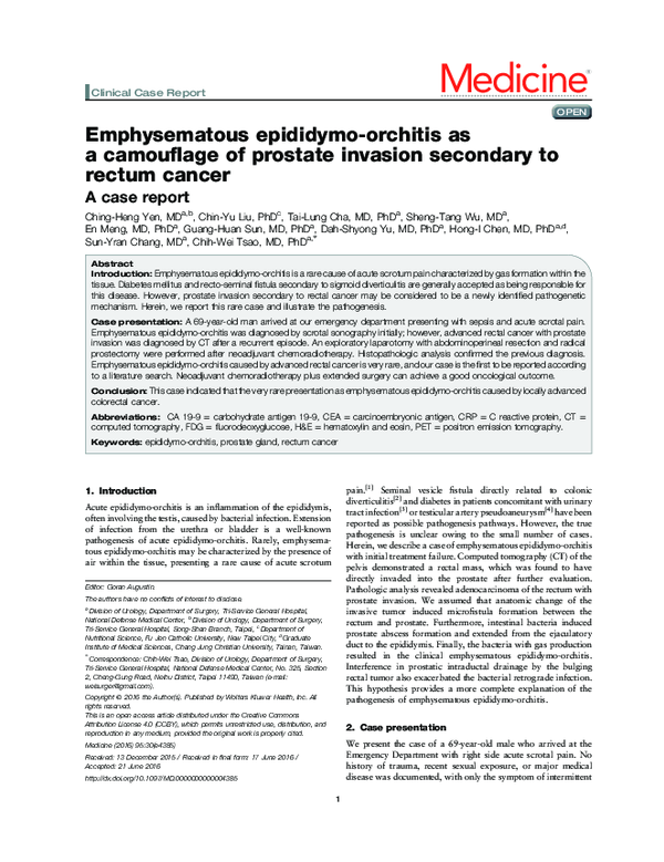 (PDF) Emphysematous epididymo-orchitis as a camouflage of prostate ...