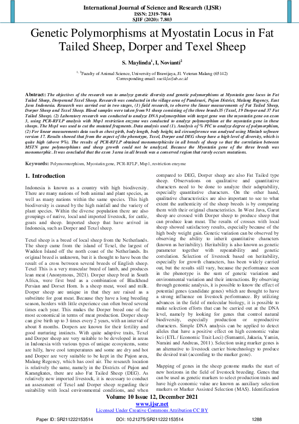 (PDF) Morphometric Characteristics in Local Sheep and Nonlocal Sheep