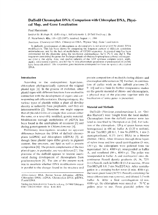 (PDF) Daffodil Chromoplast DNA: Comparison with Chloroplast DNA ...