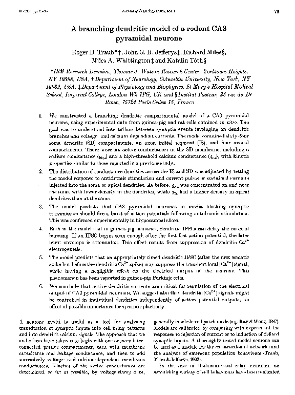 (PDF) A branching dendritic model of a rodent CA3 pyramidal neurone