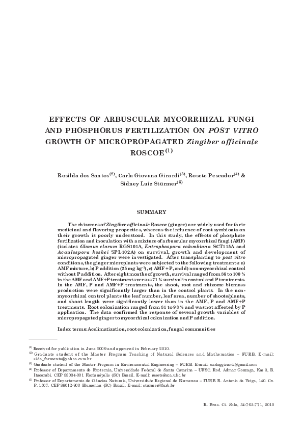 (PDF) Effects of arbuscular mycorrhizal fungi and phosphorus fertilization on post vitro growth ...