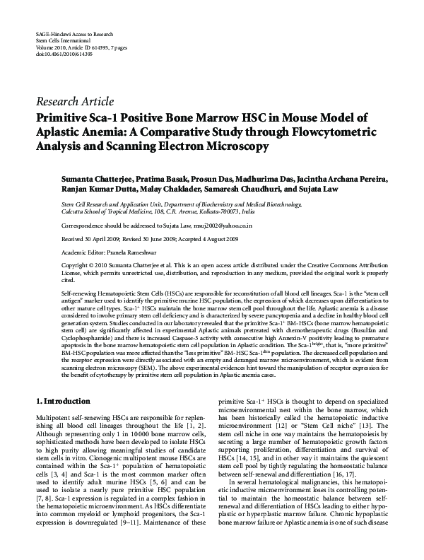 (PDF) Primitive Sca-1 Positive Bone Marrow HSC in Mouse Model of ...