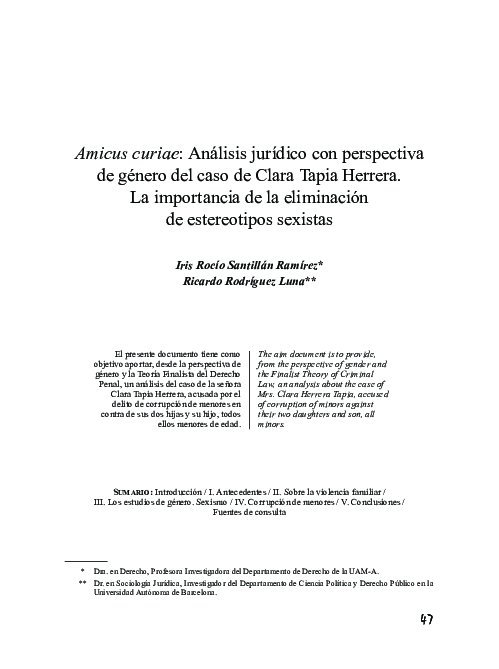 (PDF) Amicus curiae: Análisis jurídico con perspectiva de género del ...