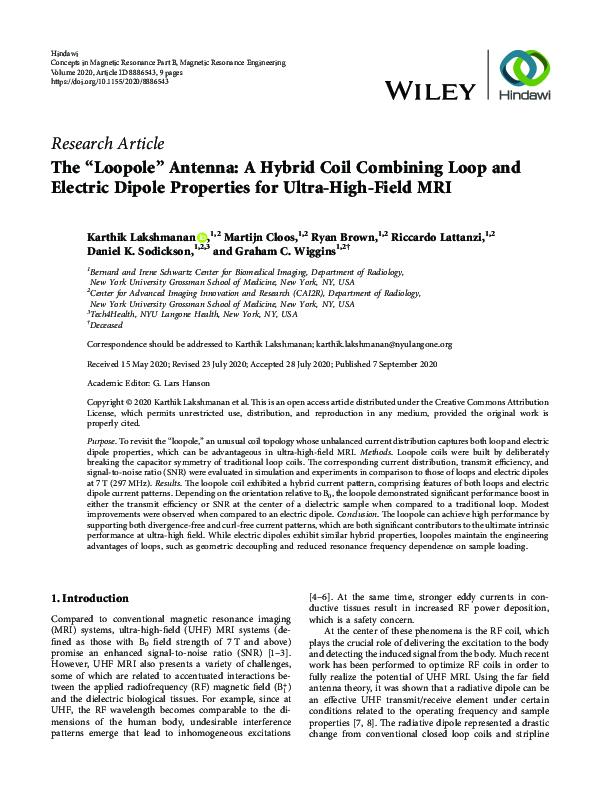(PDF) The “Loopole” Antenna: A Hybrid Coil Combining Loop and Electric ...