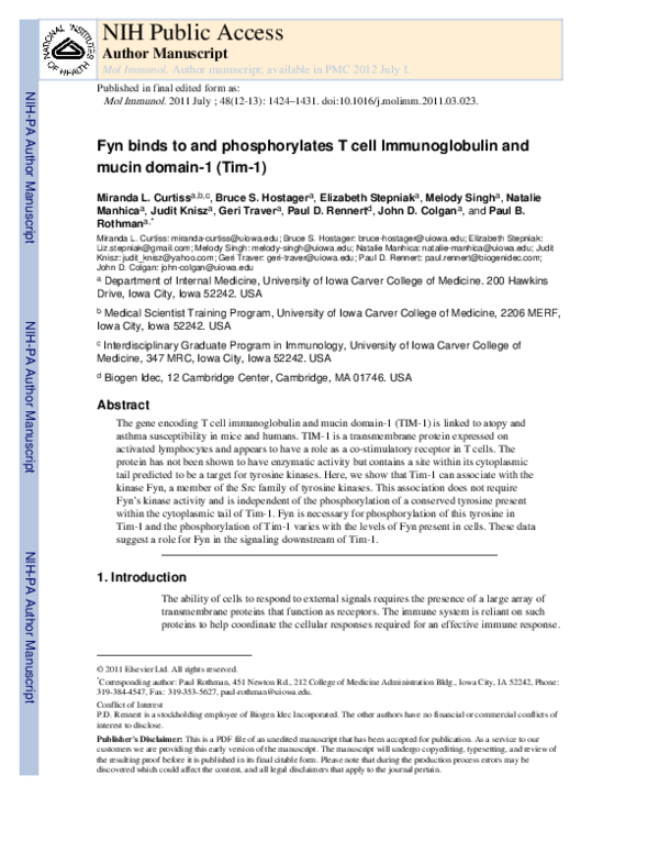 (PDF) Fyn binds to and phosphorylates T cell immunoglobulin and mucin ...