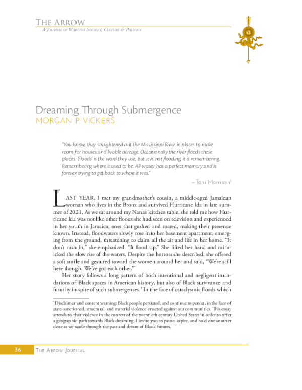 (PDF) Dreaming Through Submergence