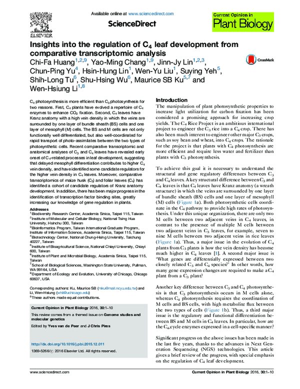 (PDF) Insights into the regulation of C4 leaf development from ...