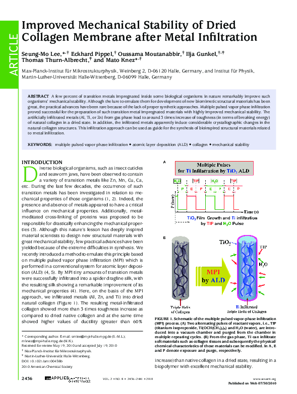 (PDF) Improved Mechanical Stability of Dried Collagen Membrane after ...