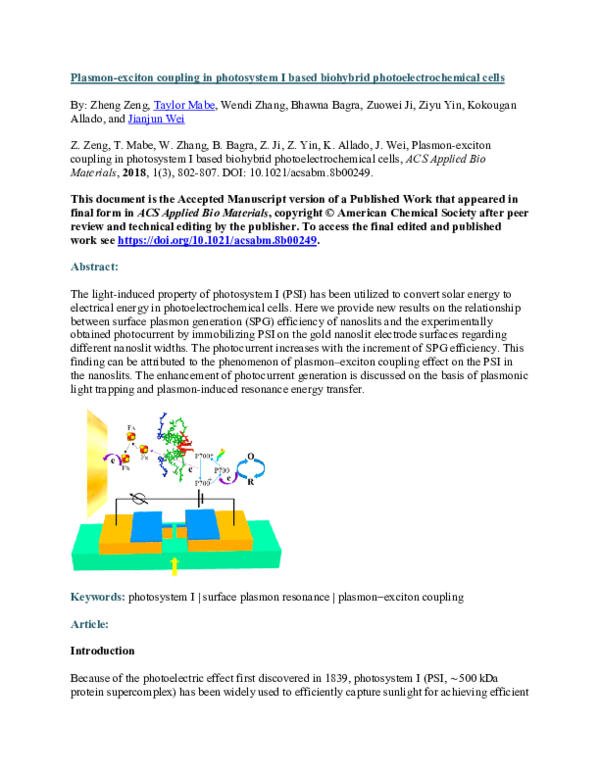 (PDF) Plasmon–Exciton Coupling in Photosystem I Based Biohybrid ...