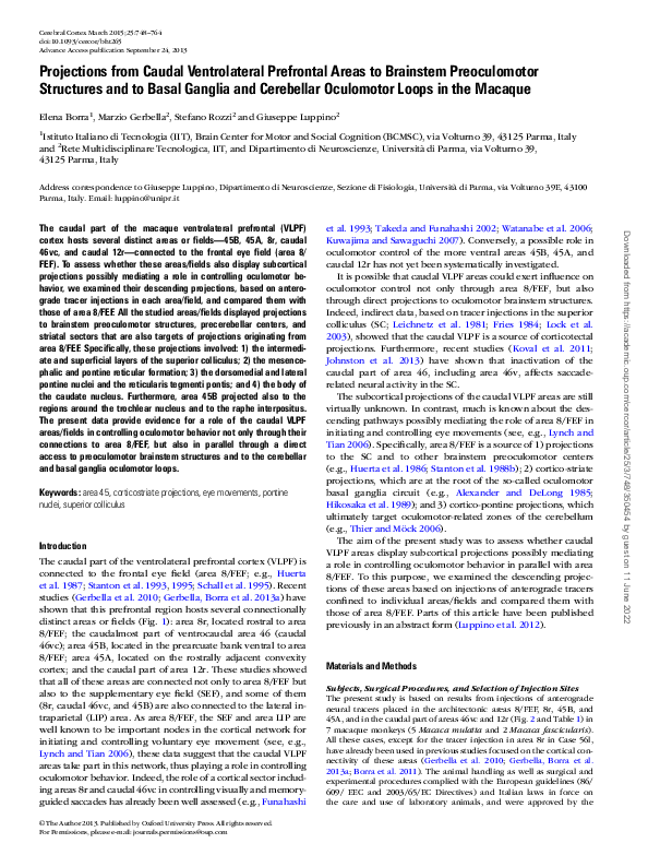 (PDF) Projections from Caudal Ventrolateral Prefrontal Areas to ...